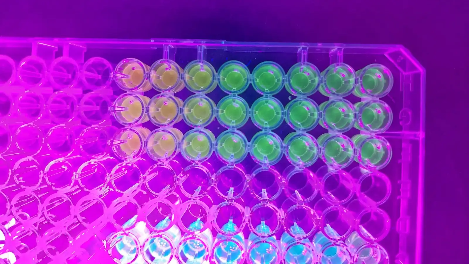 Our Lab - OriLab | Ori Green | Molecular research